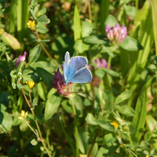 GALERIJE FOTOGRAFIJA – UDRUGA ZRAKA DRAGANIĆ
